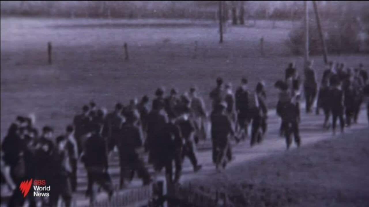 A history of the Auschwitz Nazi concentration camp I SBS News | SBS News
