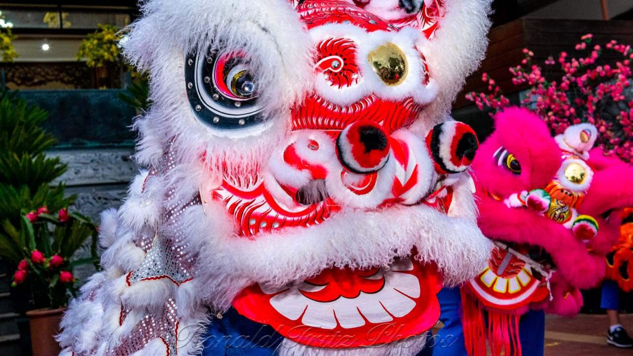 Lunar New Year ဆိုတာ ဘာလဲ၊ သြစတြေးလျမှာ ဘယ်လို ကျင်းပကြလဲ။ Sbs Burmese