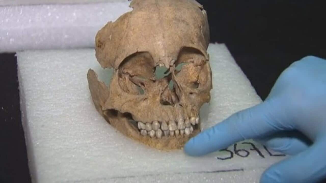 human skulls found