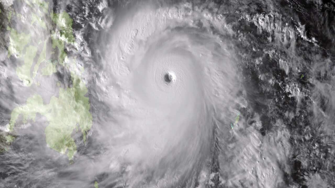 Cyclone, hurricane, typhoon: definition | SBS News