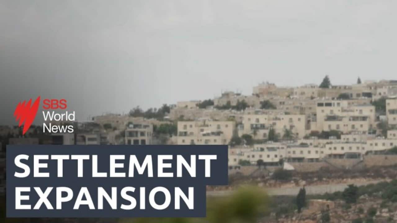 Israeli settlement expansion in the occupied West Bank I SBS News | SBS ...