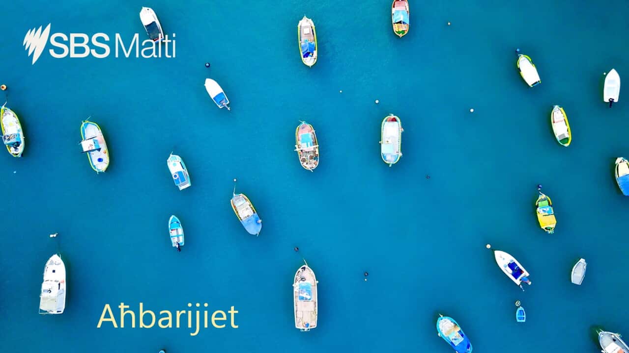 SBS Aħbarijiet bil-Malti: 26.12.25 | SBS Maltese