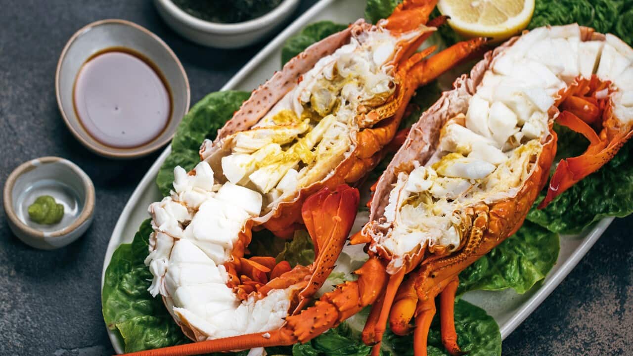 how to cook giant lobster