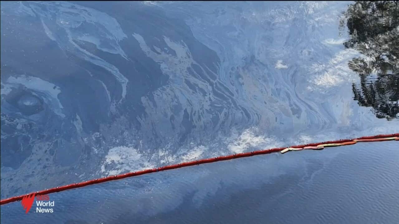 Oil spill sparks major clean-up operation in Tasmania I SBS NEWS | SBS News