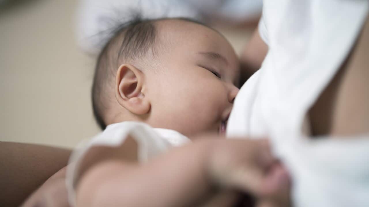 breastfeeding older child quora