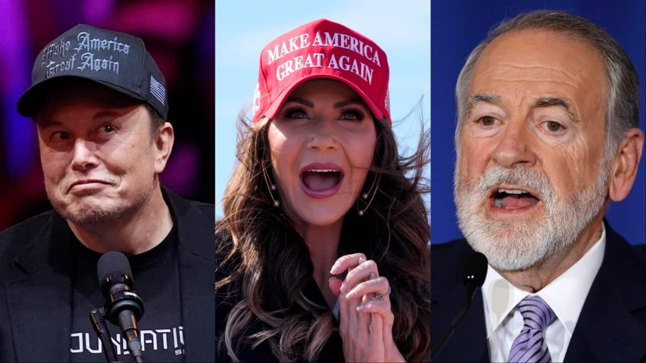 Elon Musk, Kristi Noem, Mike Waltz and more: Trump's key appointments so far | SBS News