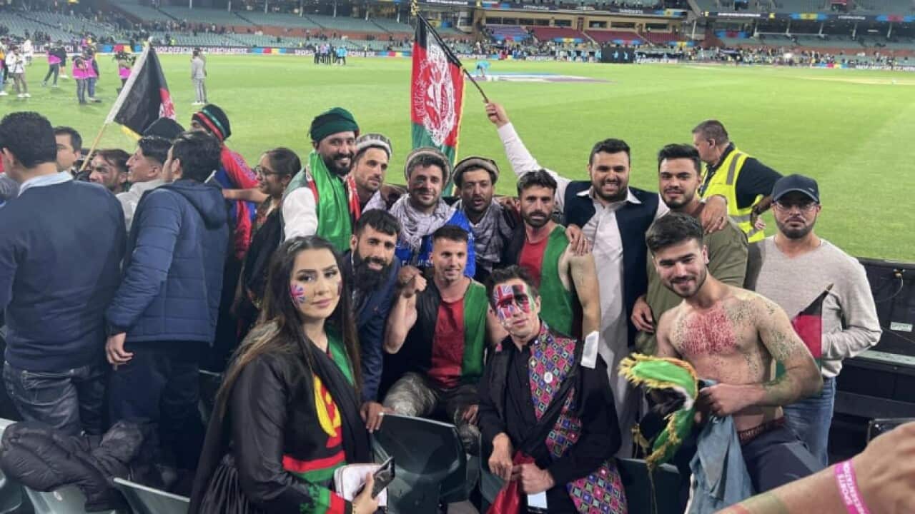 په آسټرالیا کې مېشت افغانان د کومې لوبډلې ملاتړ کوي؟ | SBS Pashto