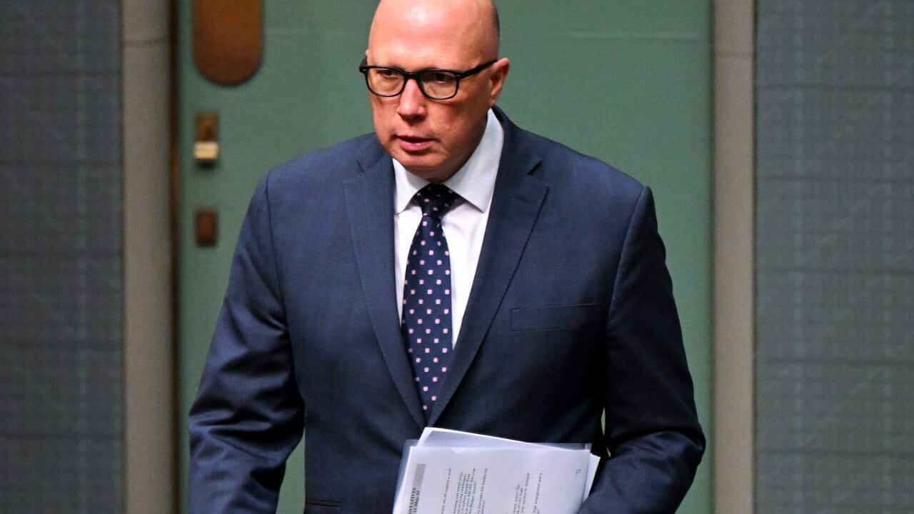 Budgets Migration Plan Will Exacerbate Housing Crisis Dutton Sbs News