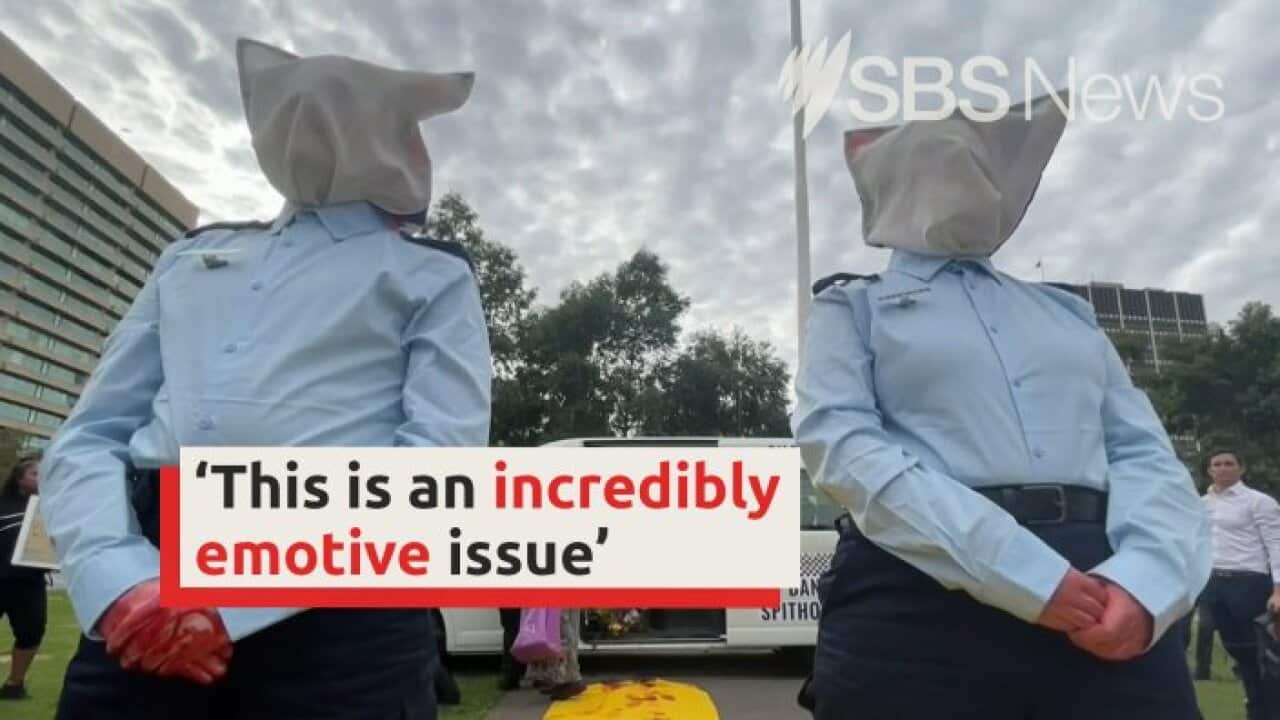 Qld Police Ban Use Of Heavily Criticised Spit Hoods I Sbs News Sbs News