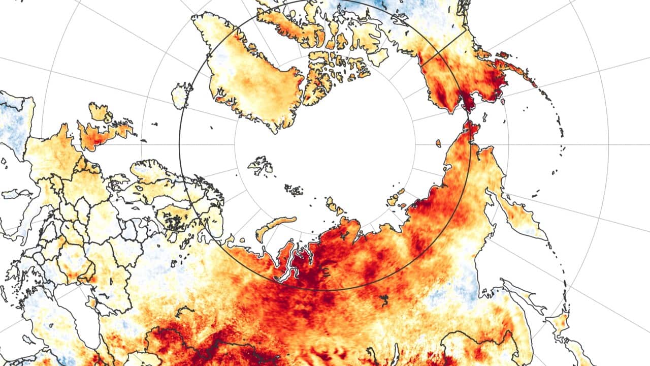 arctic temperature celsius