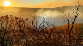Firestick farming: how traditional Indigenous burning protected the ...