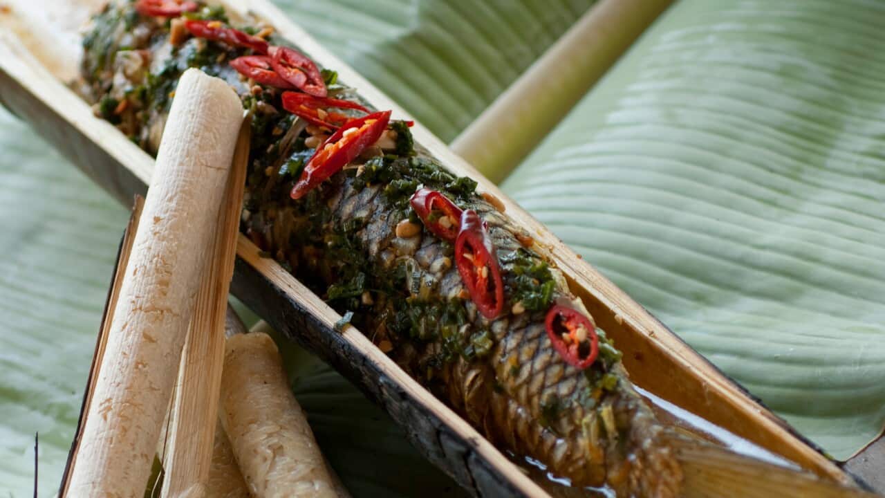 how to cook australian carp