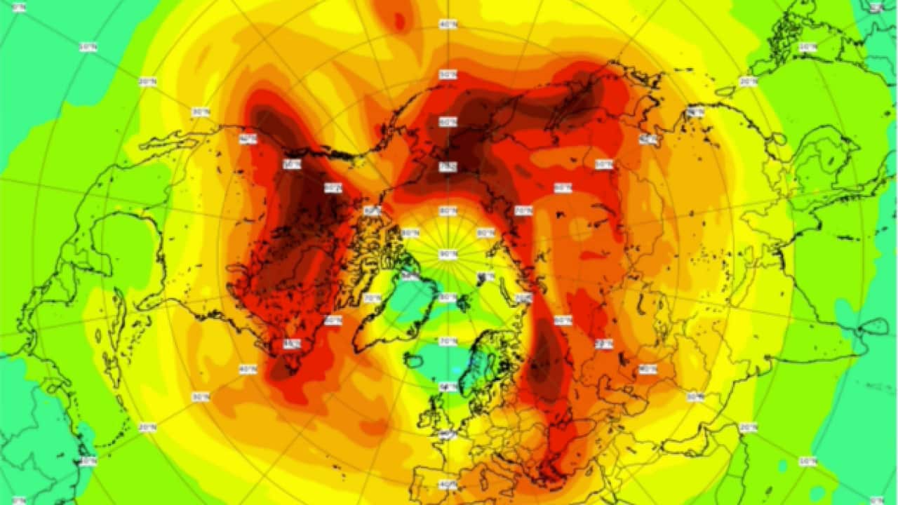 ozone layer fixed itself