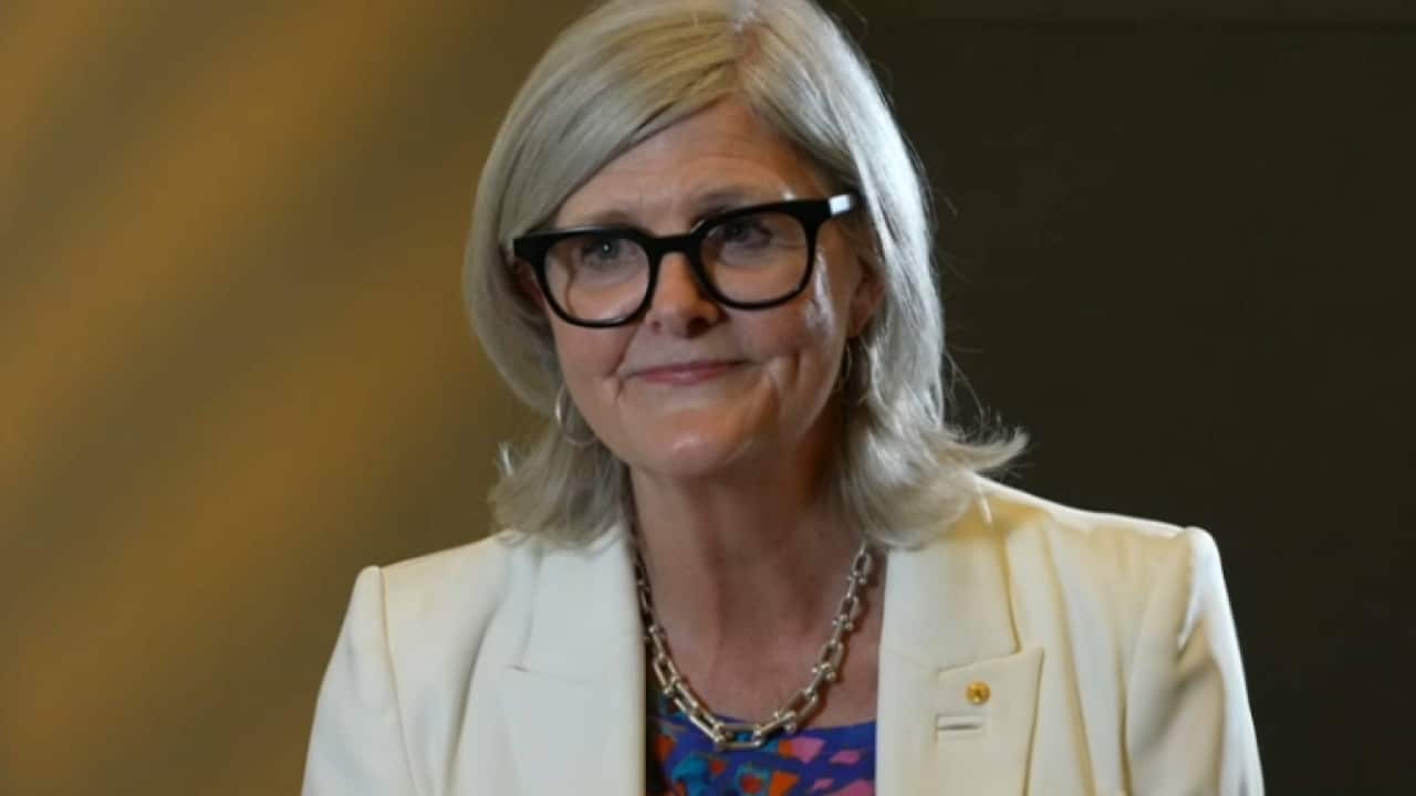 INTERVIEW Governor General Sam Mostyn on the upcoming royal visit | SBS ...