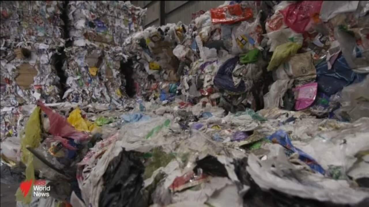 Household waste spikes during the festive season I SBS News | SBS News