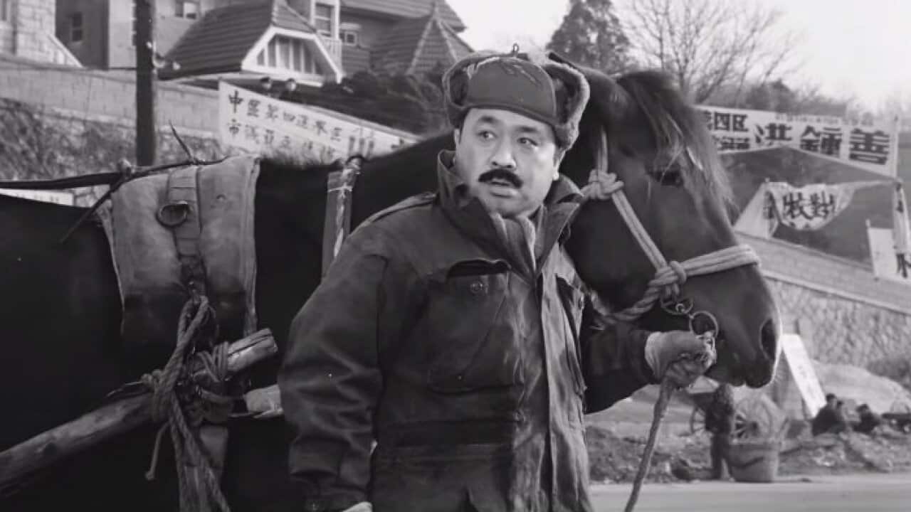 [씨네마 토크] 한국영화 100년, 재조명되는 걸작 ‘마부(1961)’ | SBS Korean