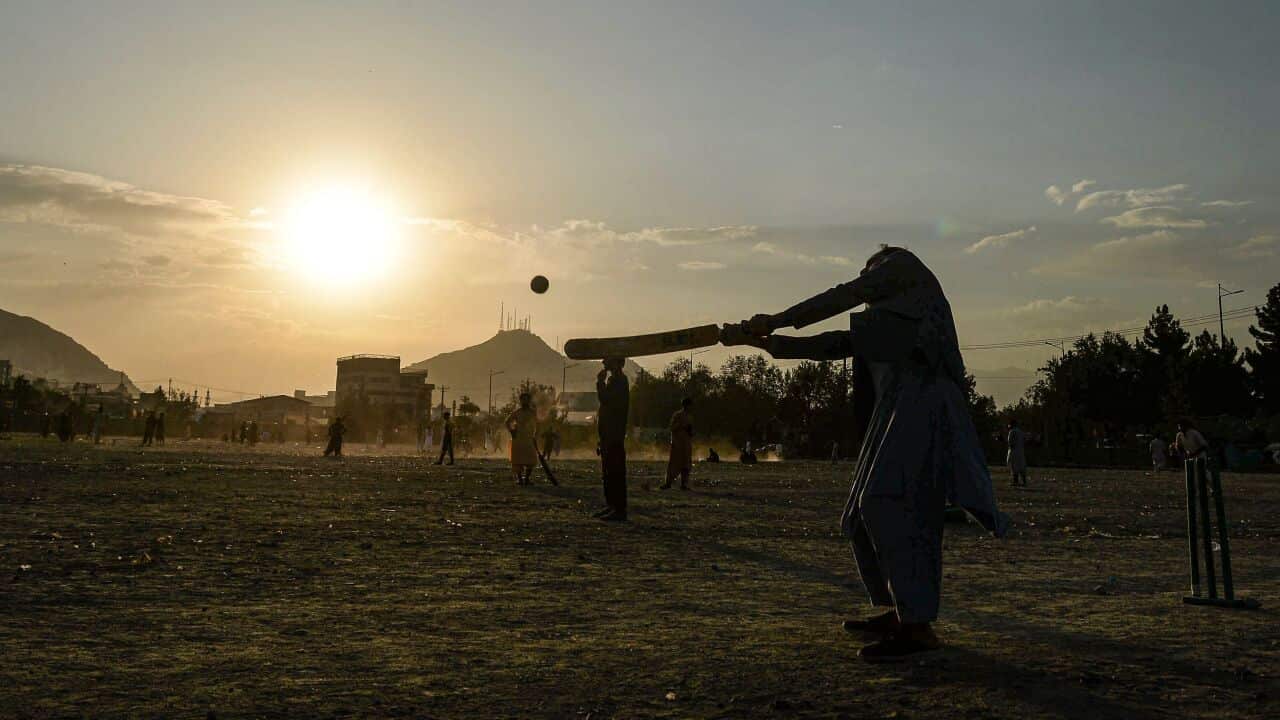 sunset play cricket