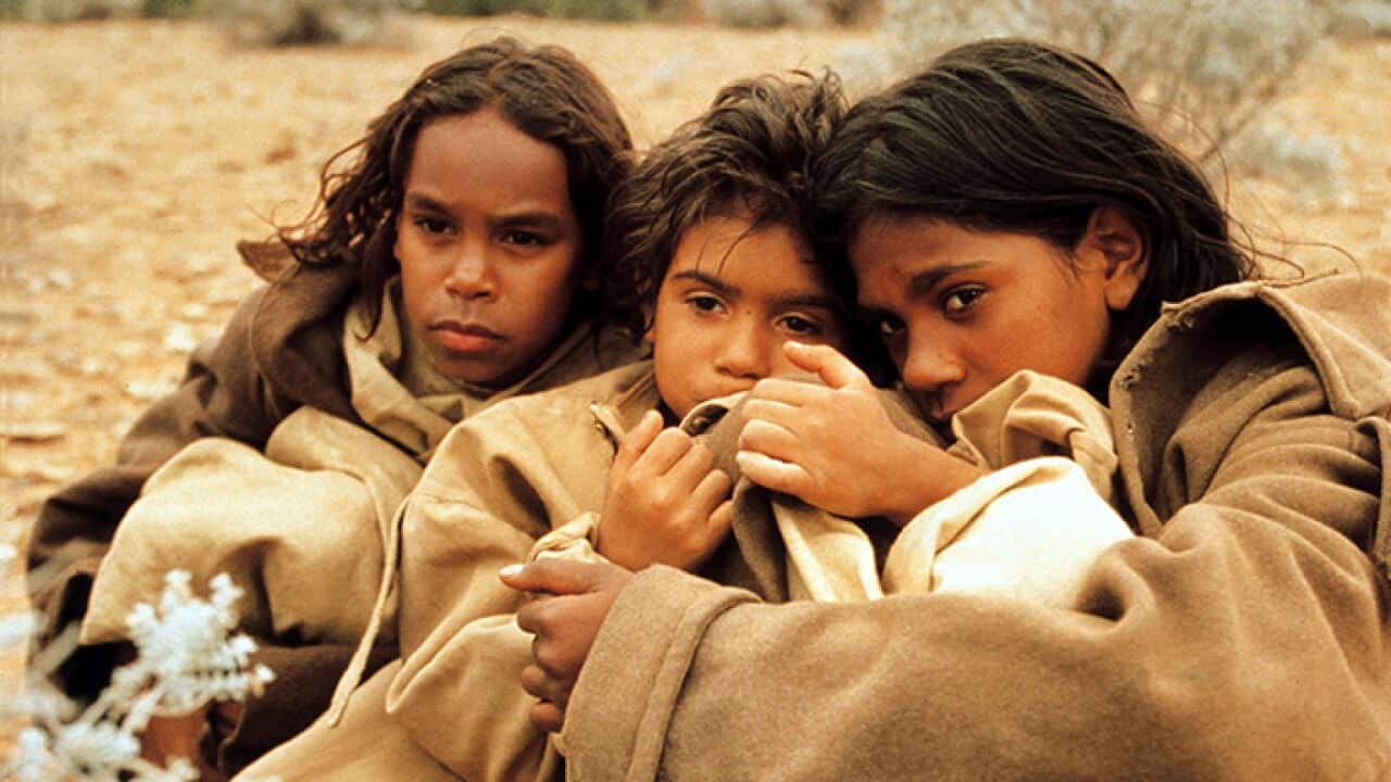 Rabbit-Proof Fence: Cheat Sheet | SBS What's On