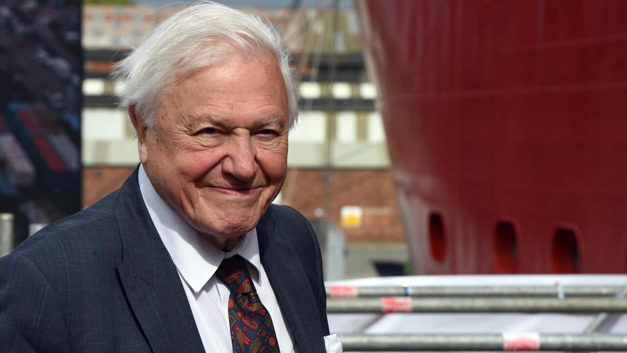 pollution david attenborough