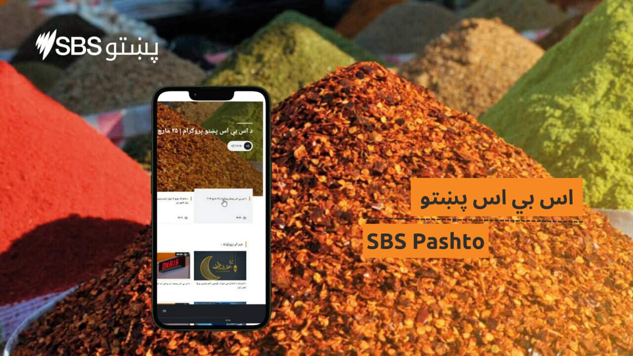 د اس بي اس پښتو پروګرام | ۸ اپریل ۲۰۲۵ | SBS Pashto