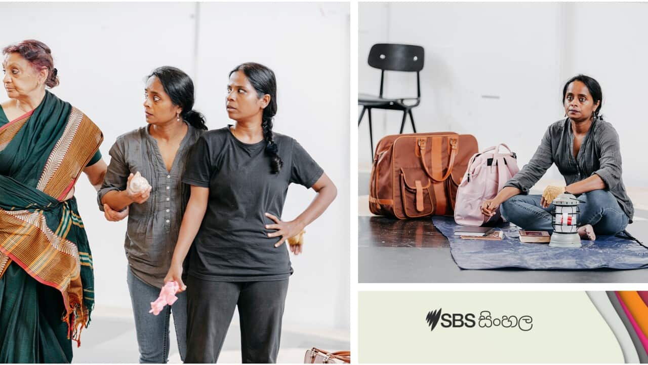 A chat with Nadee Kammallaweera on her act in the Australian stage drama - Jungle and the Sea ...