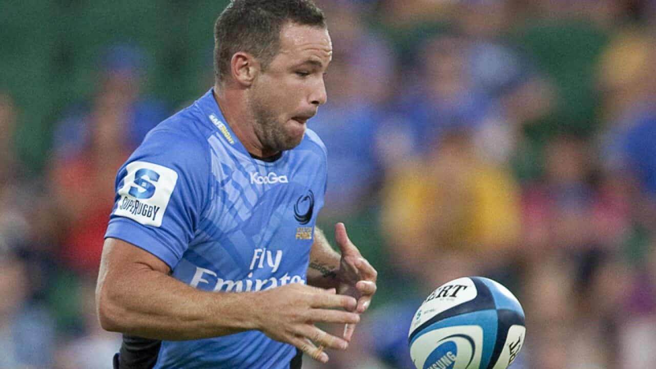 waratahs western force