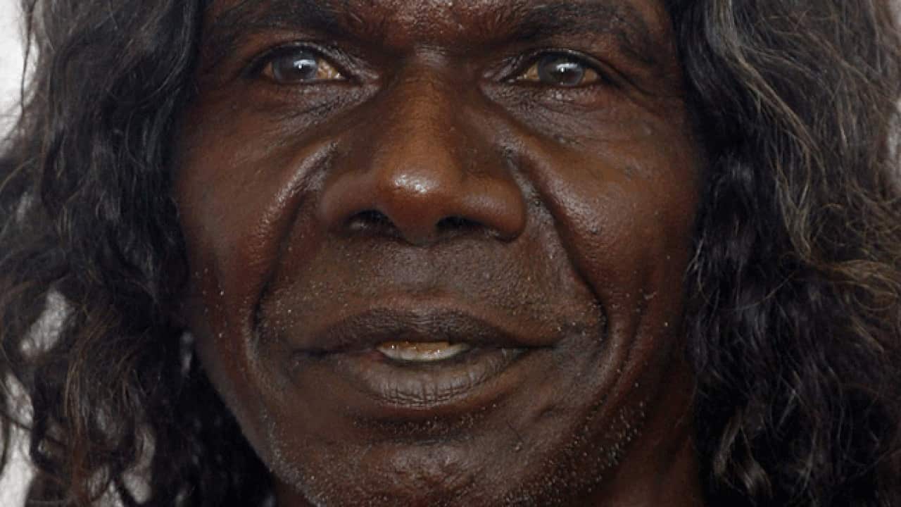 david gulpilil