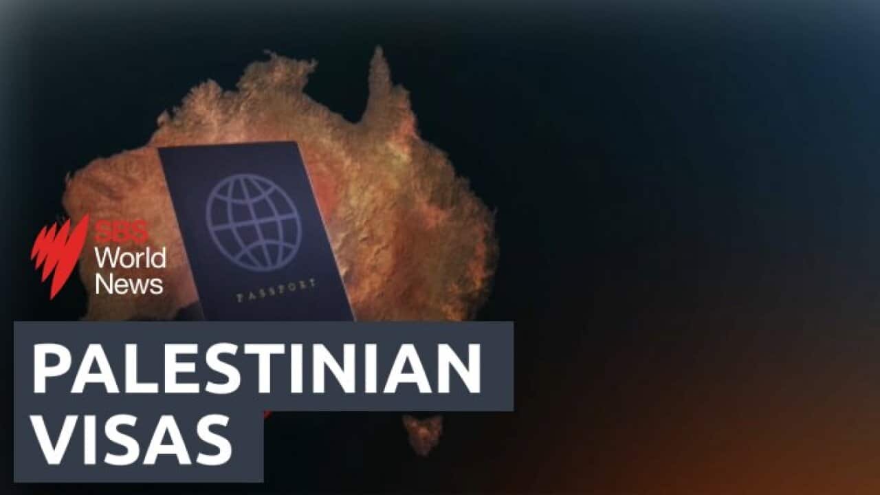 Home Affairs Minister reveals details of humanitarian visas granted to Palestinian families I ...