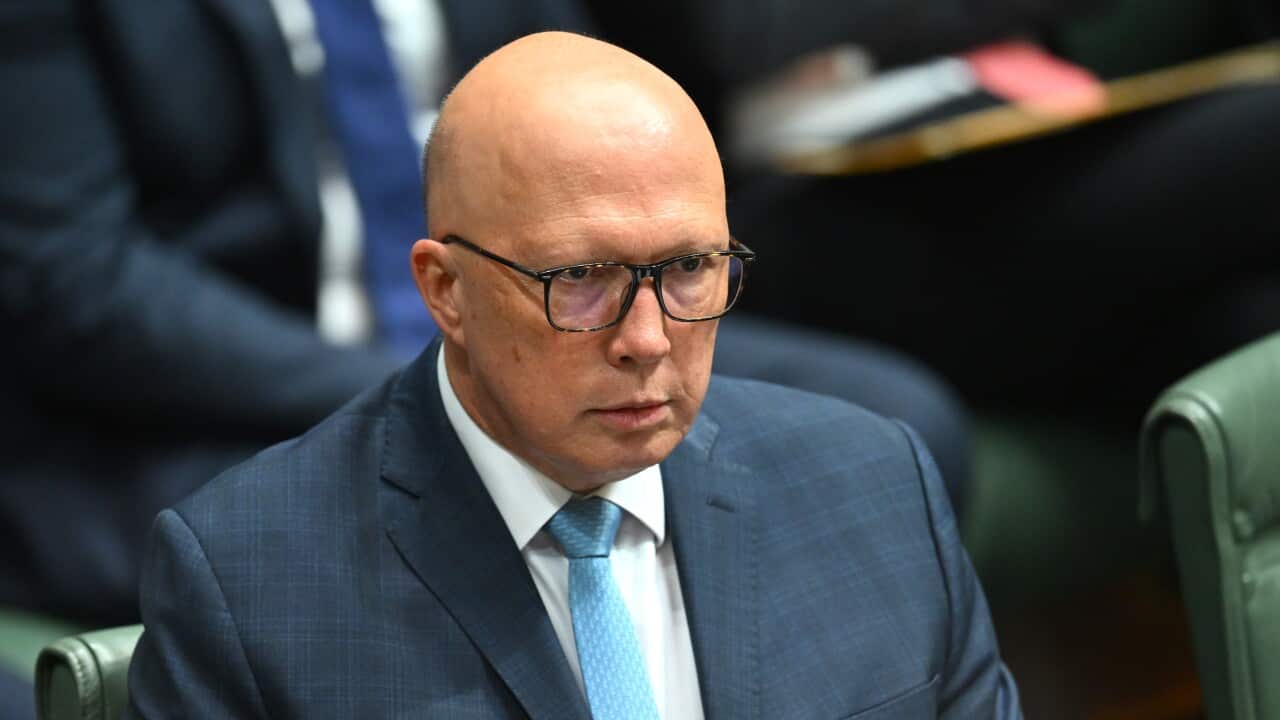 Peter Dutton announces antisemitism taskforce after Melbourne synagogue fire | SBS News