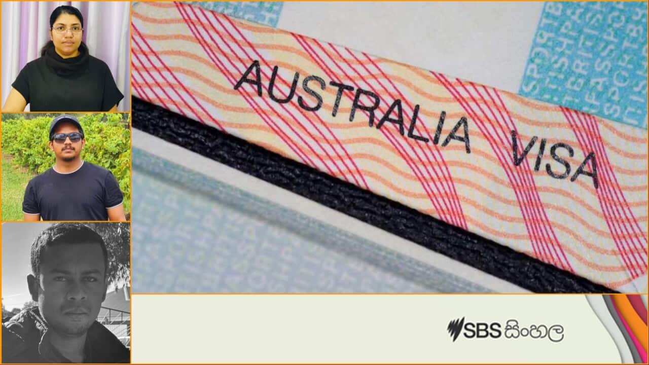 Int.students are under pressure because the government fails to provide proper visa info SBS ...