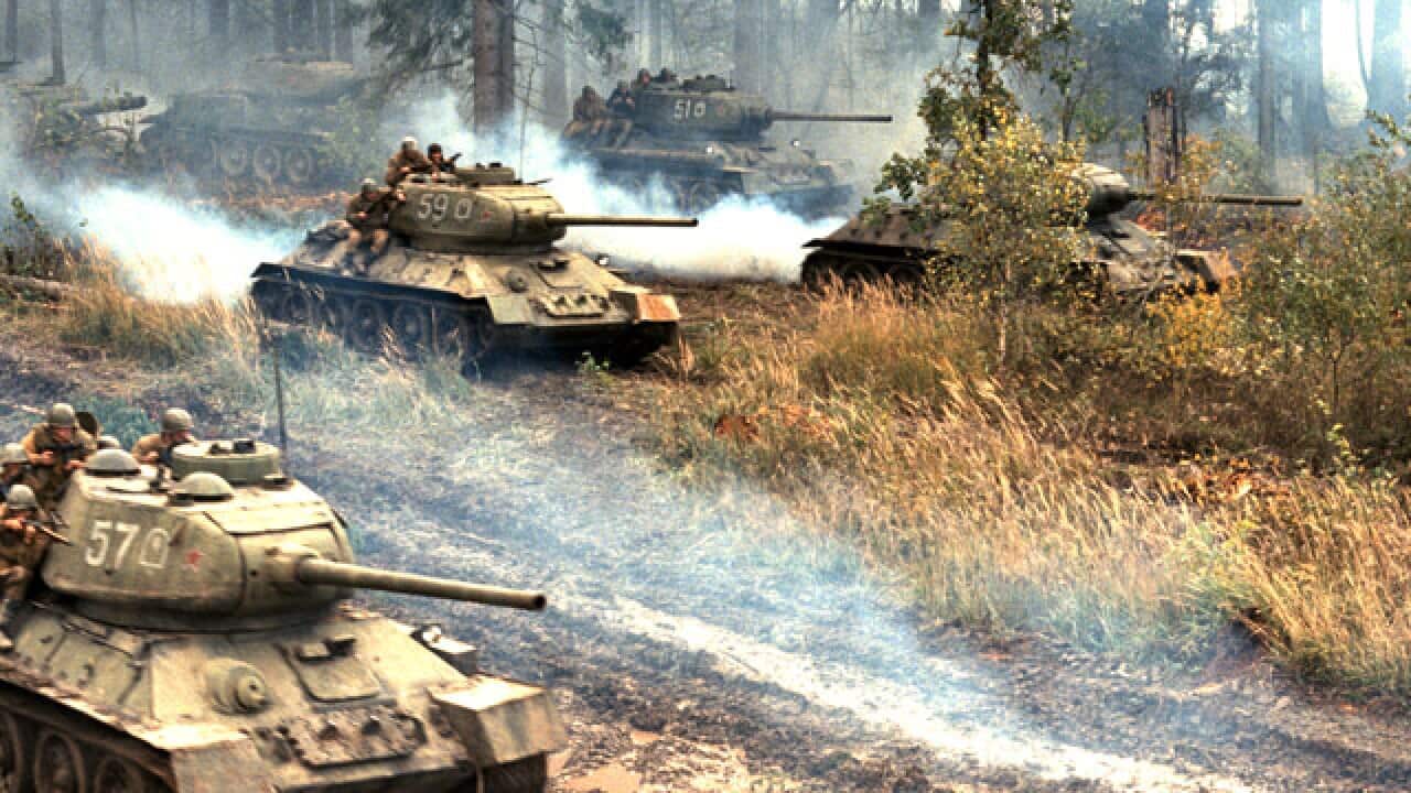 white tiger attack 2014