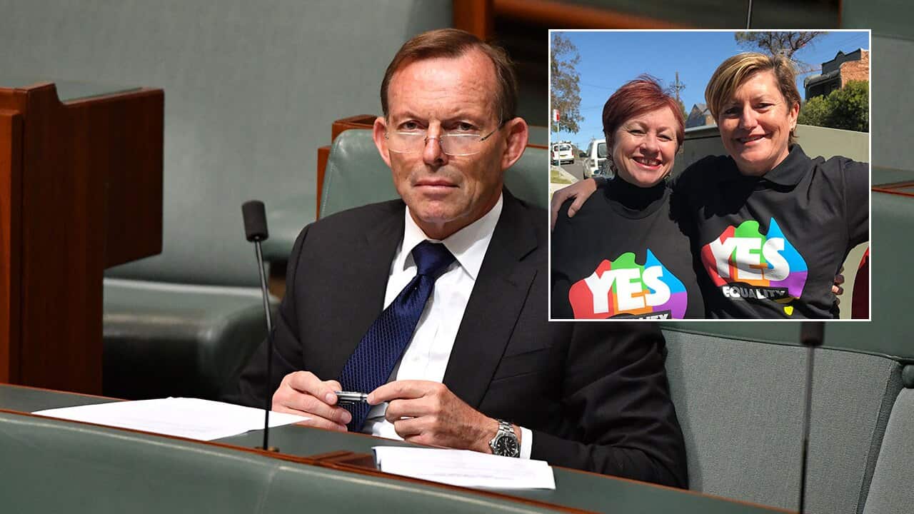 Abbott 'proud of No campaigners' but excited for sister's wedding | SBS ...