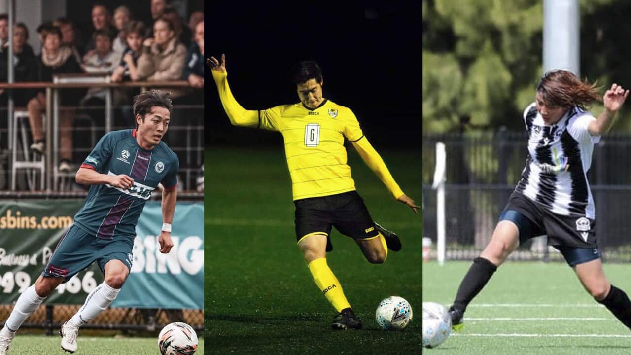 ＃2 NPLで輝く日本のチャレンジャーたち（日豪サッカーの架け橋） | SBS Japanese