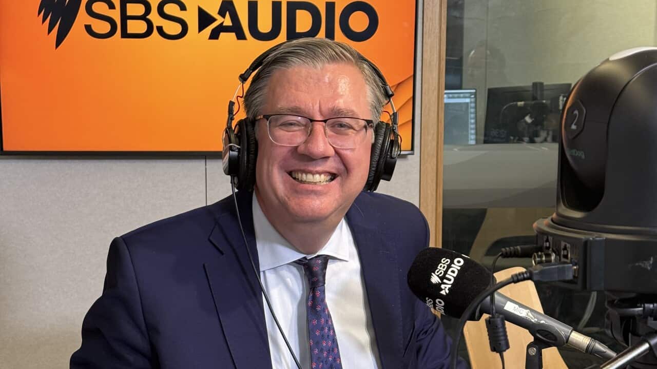 'Heard some terrible stories': Senator Paul Scarr admits anti ...