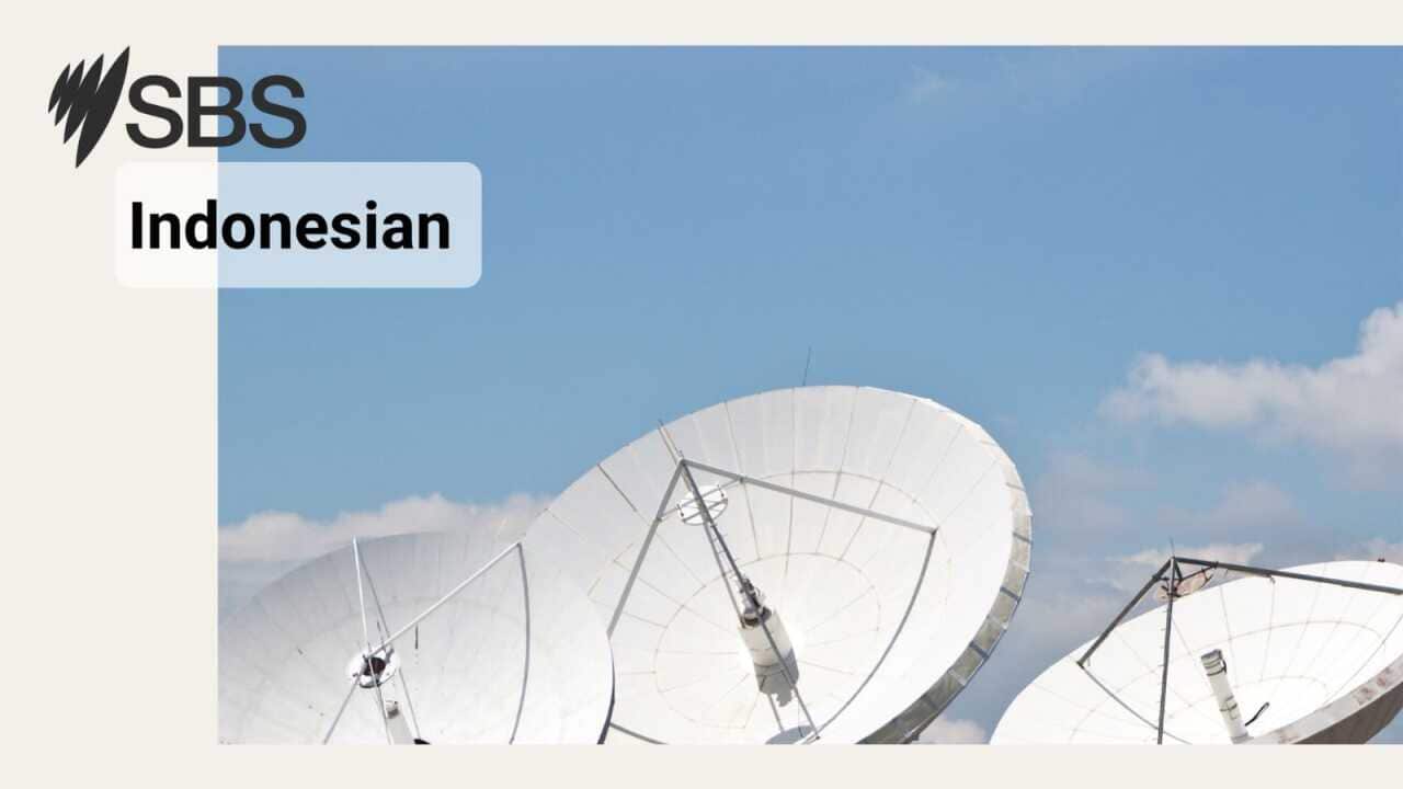 Berita terkini SBS Audio Program Bahasa Indonesia - 23 Januari 2025 ...