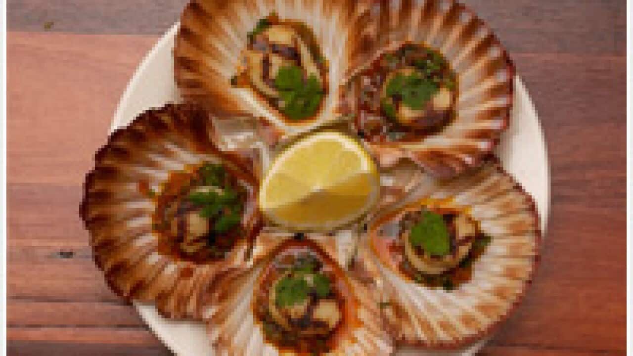 grilled scallops in the shell