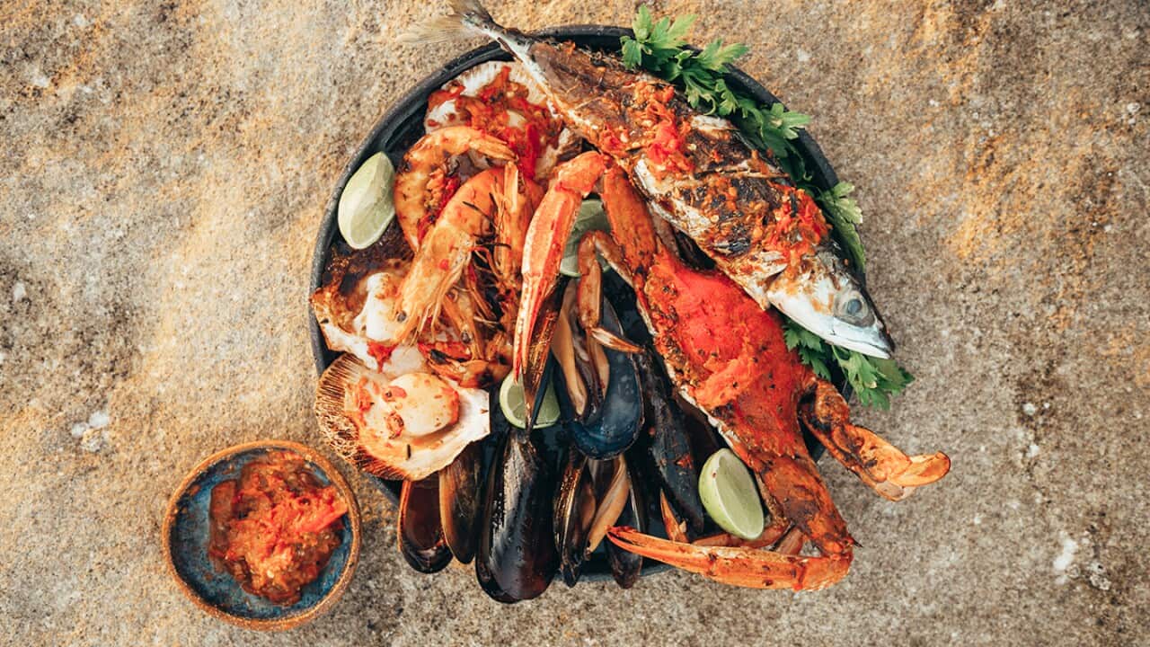 aussie edible shellfish