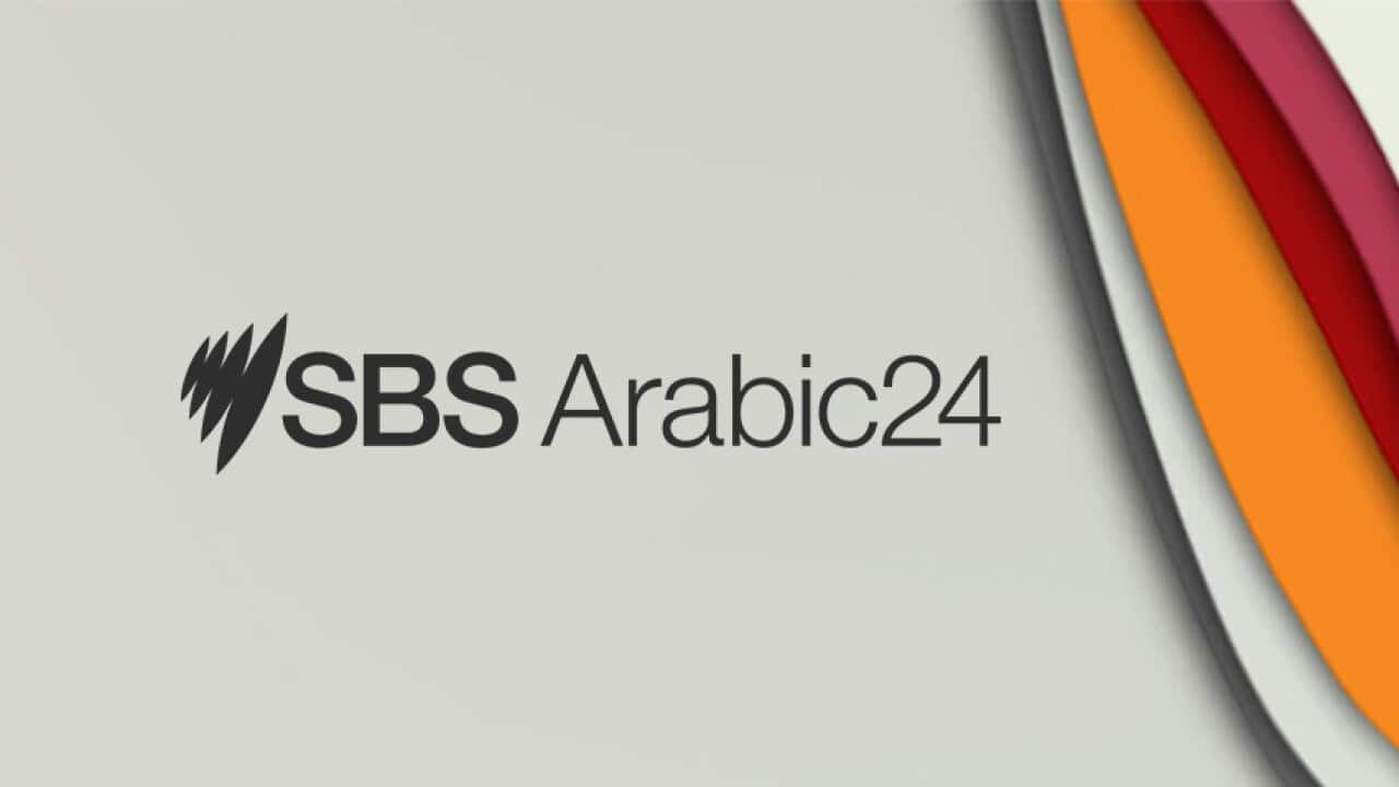 أس بي أس عربي24 في حلة جديدة: برنامج صباحي في عطلة نهاية الأسبوع ومساحة أكبر للأغاني الحديثة ...