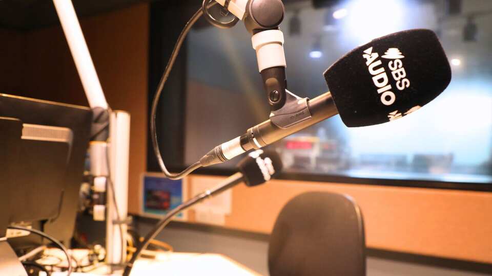 Somalia News: Warka Soomaaliya Arbaco 25 February 2026 | SBS Somali