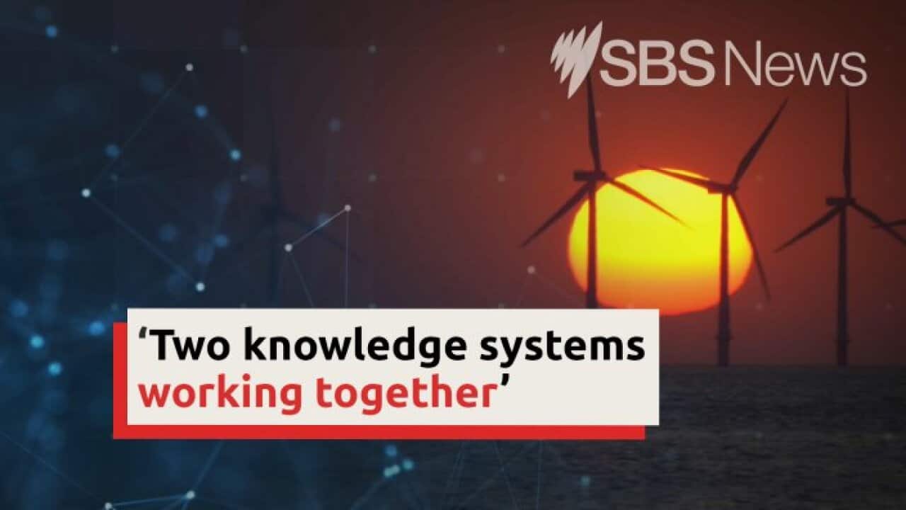 Connecting traditional Aboriginal knowledge with Western science I SBS ...