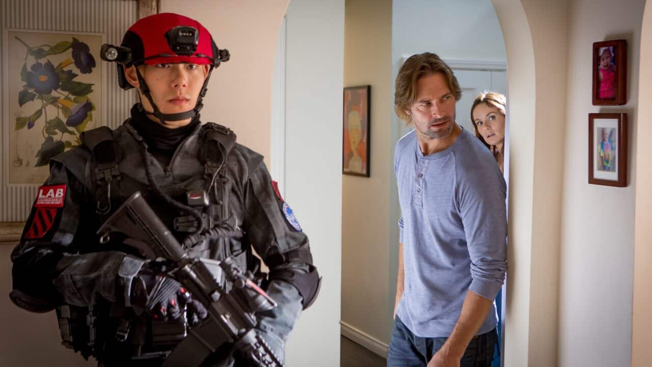 Why you should be watching ‘Colony’ | SBS What's On