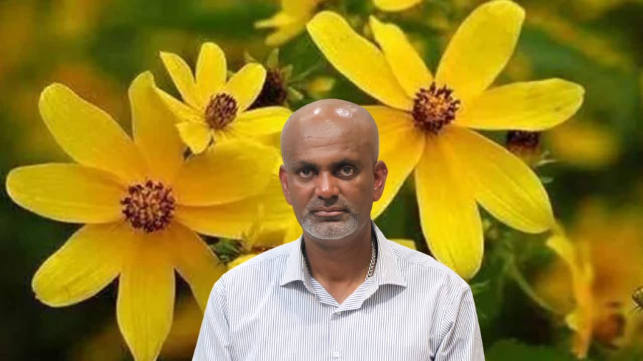 "ለኢትዮጵያውያን ሁሉ መጪው ዘመን ከትናንት የተሻለ፣ ሀገራችን ገናናነቷ ጎልቶ የሚወጣበትና አብረን የምንቆምበት እንዲሆን እመኛለሁ" ዶ/ር ተስፋዬ ...