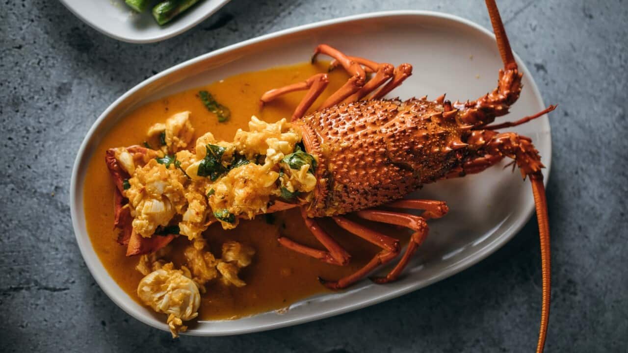 how to cook lobster head