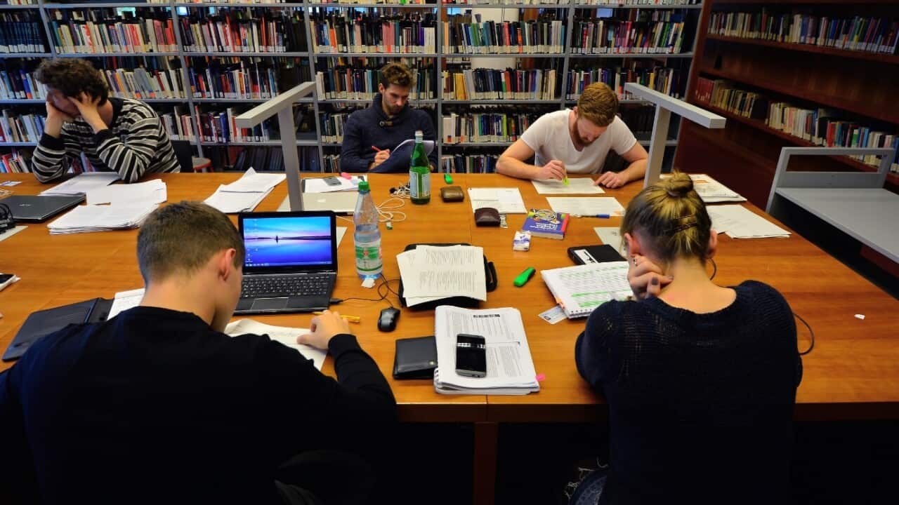 intelligence and conservatism