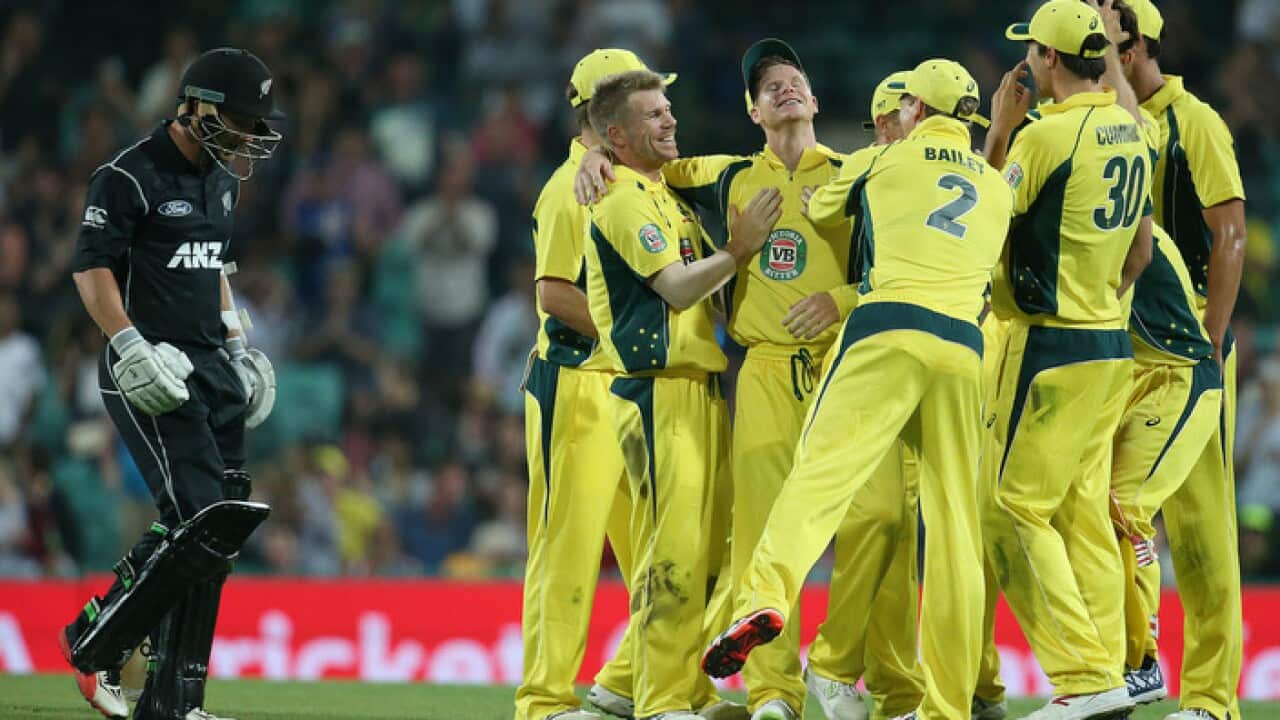 WATCH: Steve Smith! WHAT A BRILLIANT CATCH!!! | SBS Hindi