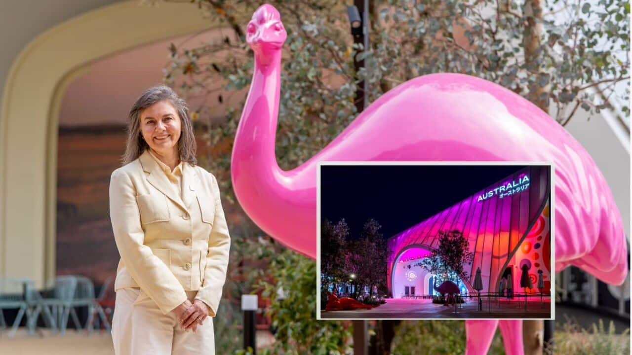 日豪の強いつながりをより深く、オーストラリア政府代表ナンシー・ゴードン（大阪・関西万博） | SBS Japanese