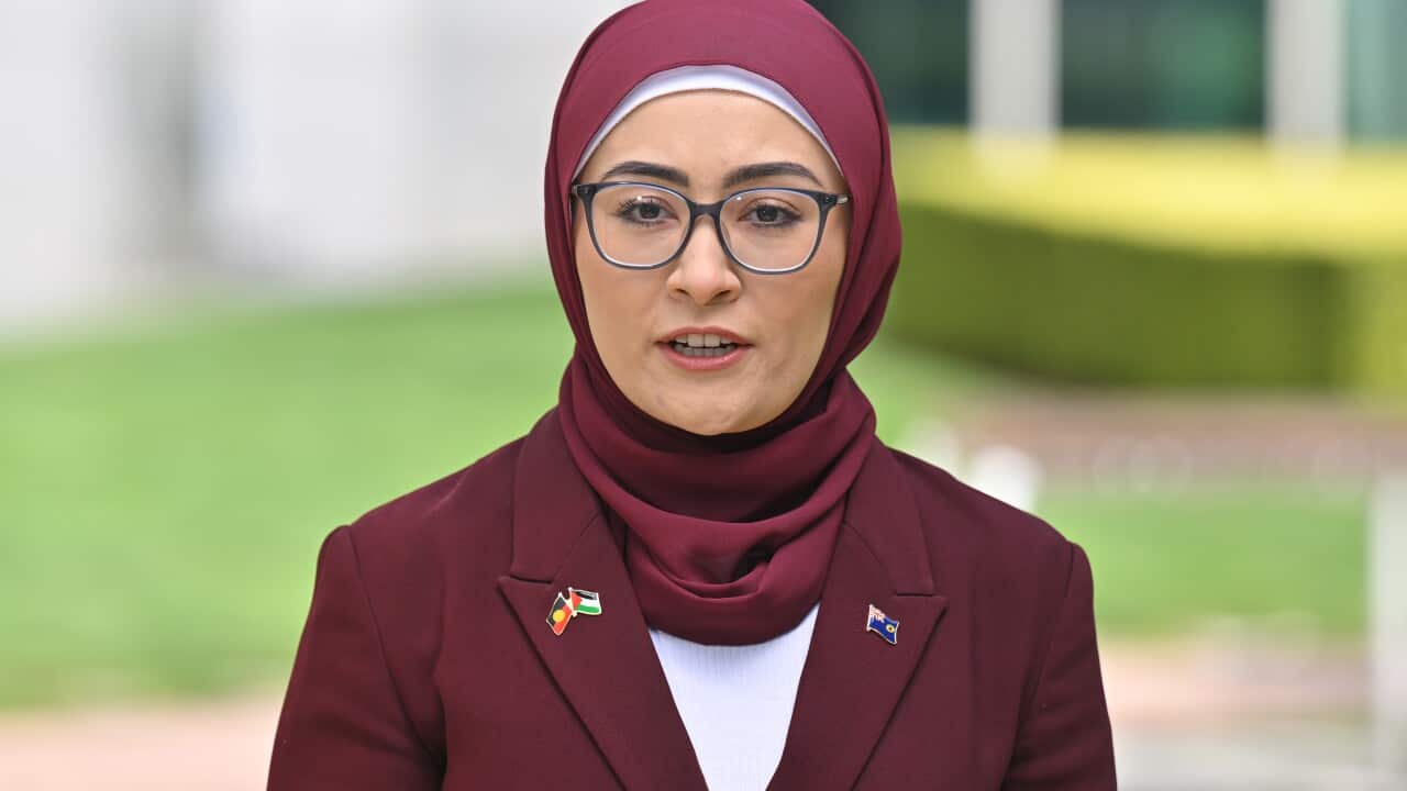 Fatima Payman rejects foreign interference allegation amid call for ...