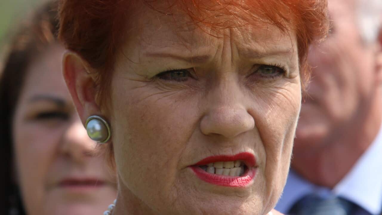 Pauline Hanson in 1997 SBS interview with Nitza Lowenstein | SBS Hebrew