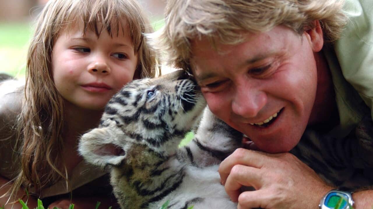 steve irwin young