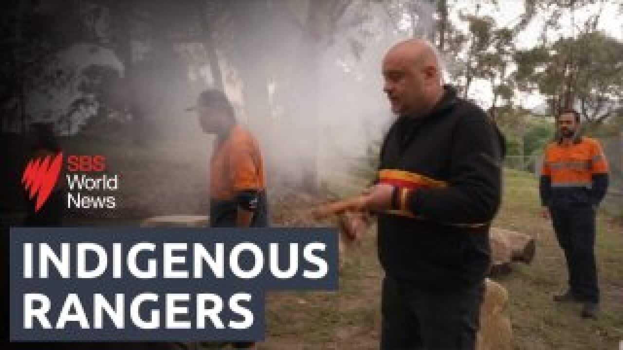 Indigenous ranger numbers set to double I SBS News | SBS News